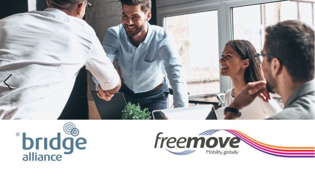 Bridge x Freemove: A Partnership for Corporate Simplicity - Bridge Alliance