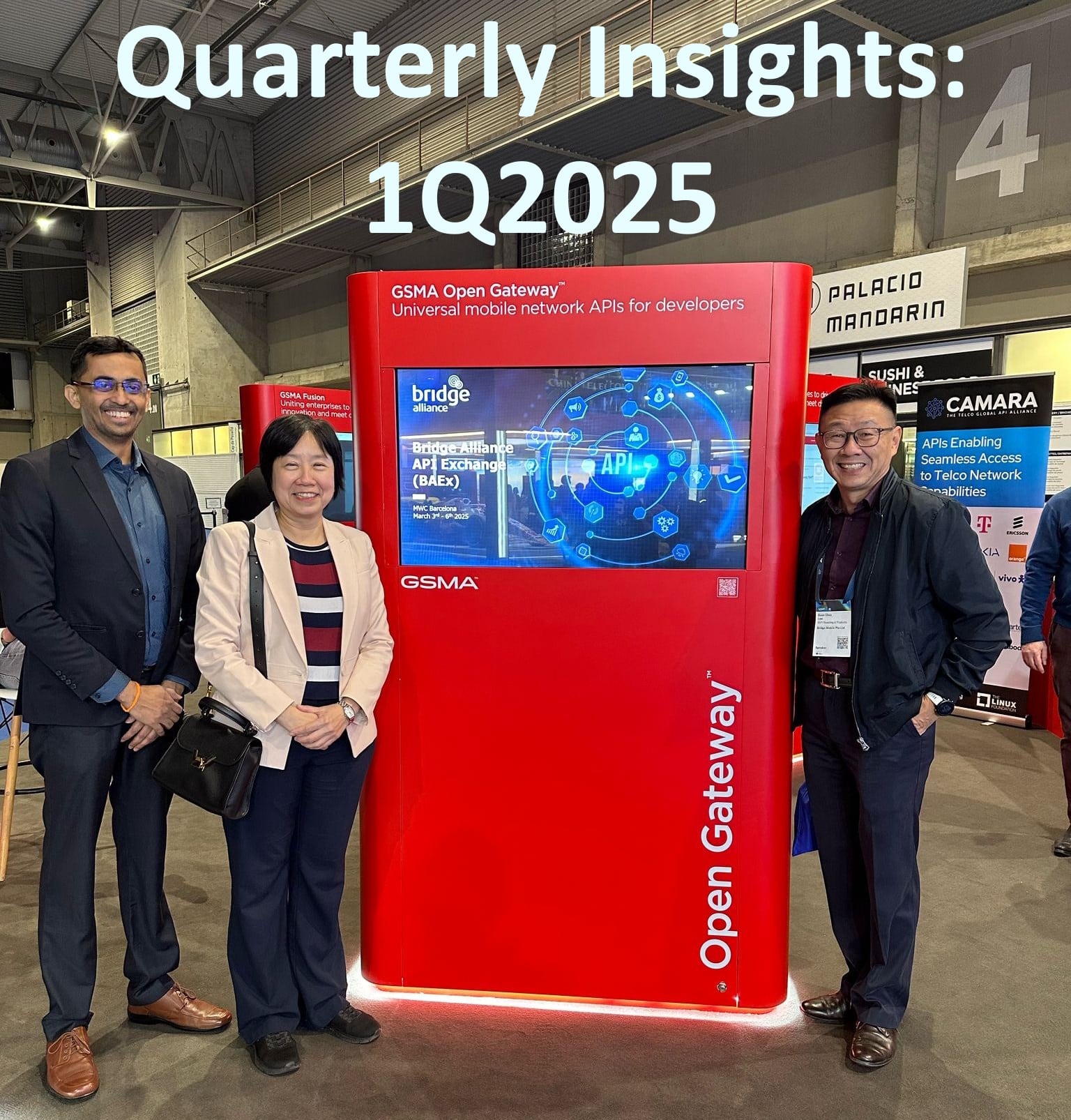 Quarterly Insights on Bridge Member Operators: 1Q2025 - Bridge Alliance
